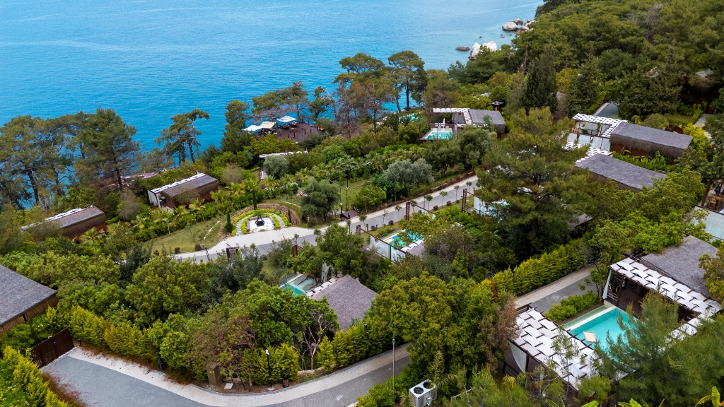 Lov Faralya +16 | Jolly