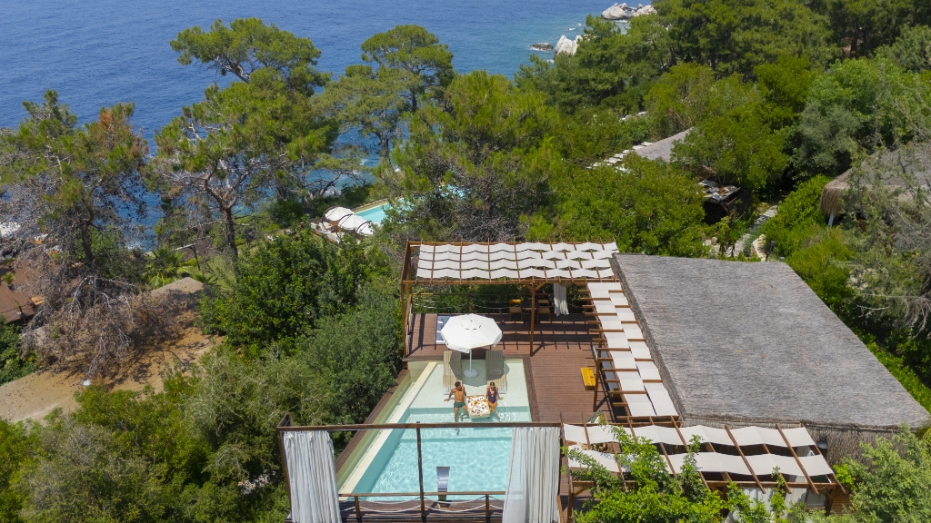 Lov Faralya +16 | Jolly