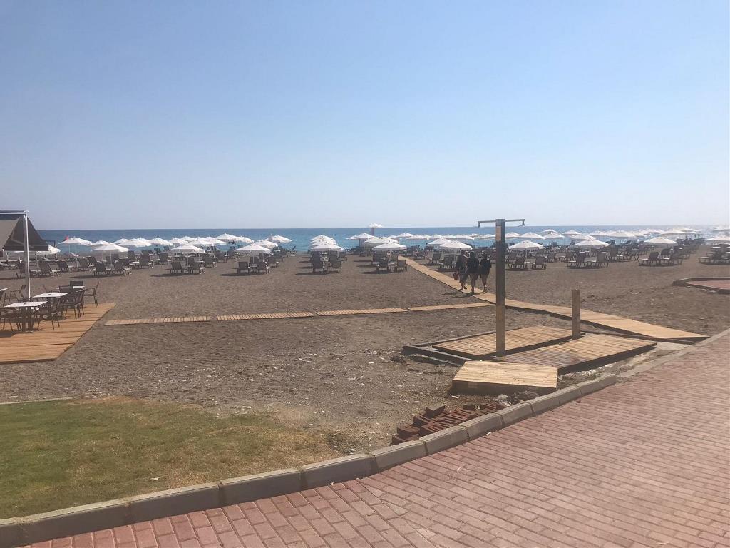 Alarcha Hotels & Resorts - Jolly