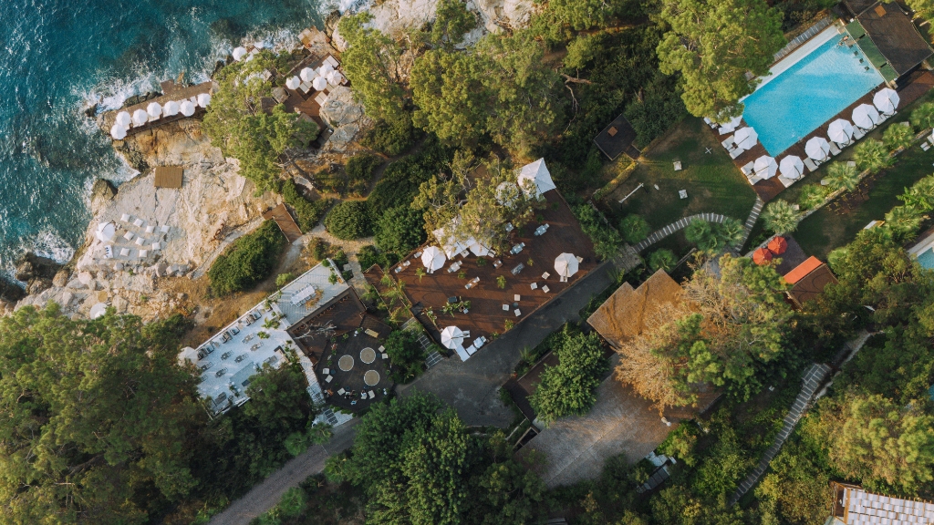 Lov Faralya +16 | Jolly