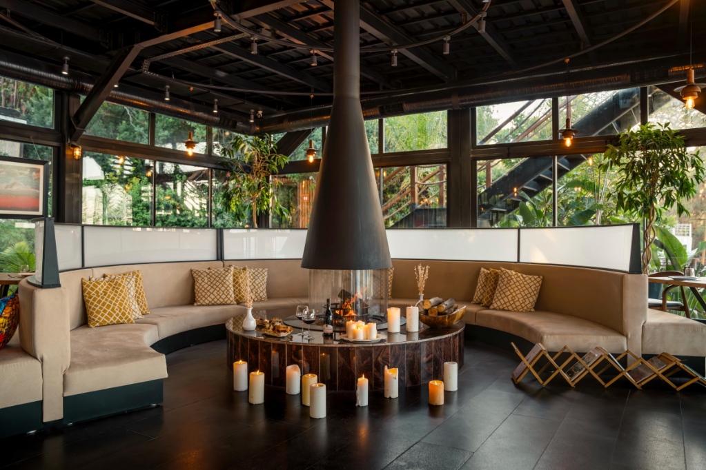 Lov Faralya +16 | Jolly