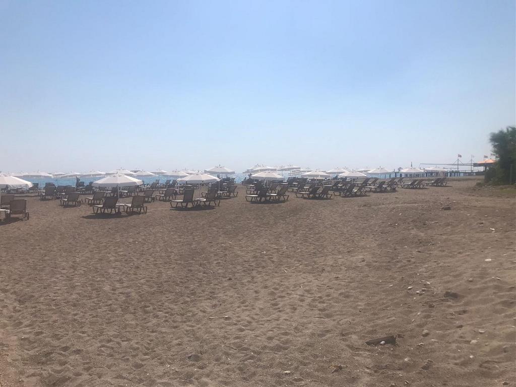 Alarcha Hotels & Resorts - Jolly