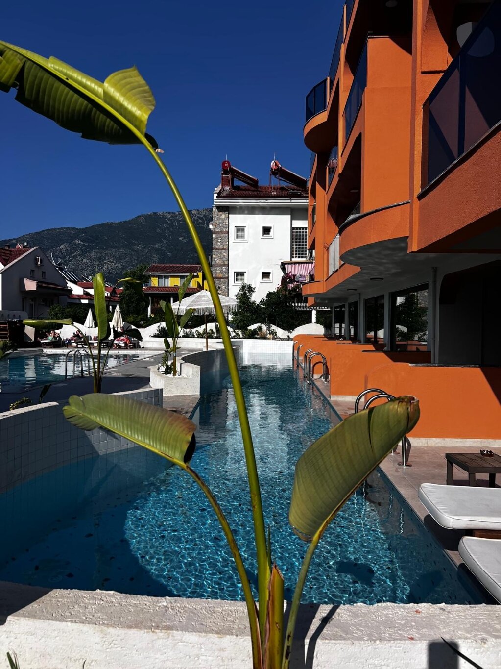 Lina Life Fethiye | Jolly