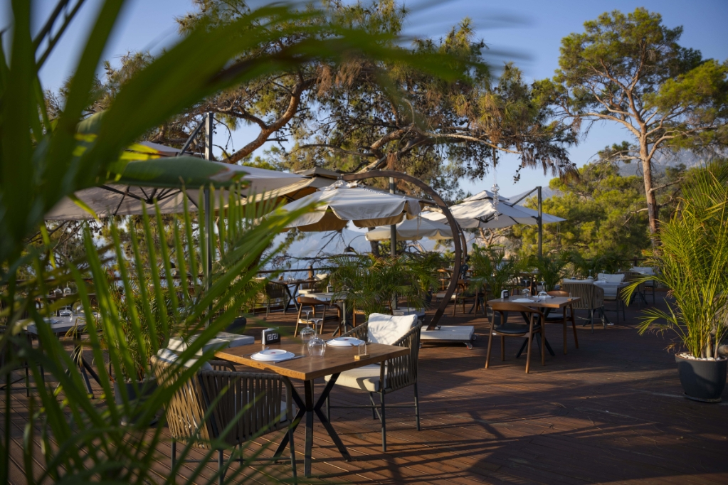 Lov Faralya +16 | Jolly