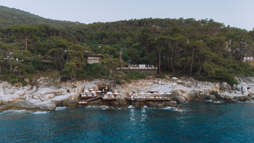 Lov Faralya +16 | Jolly