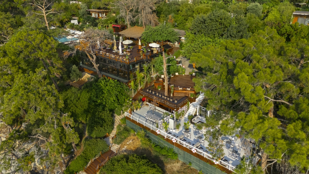 Lov Faralya +16 | Jolly