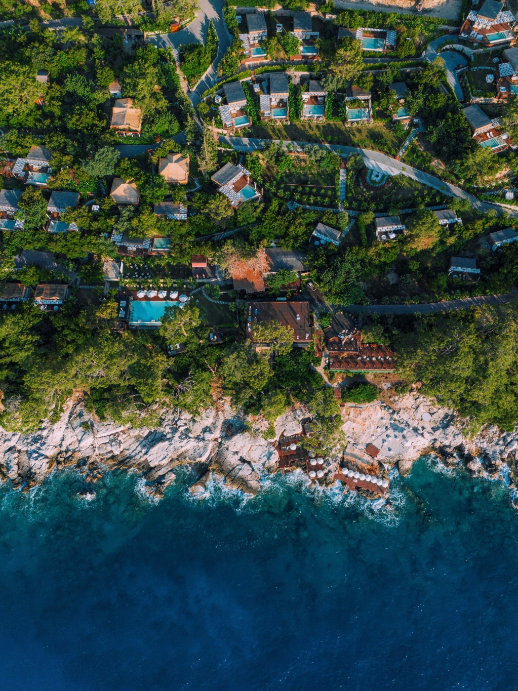 Lov Faralya +16 | Jolly