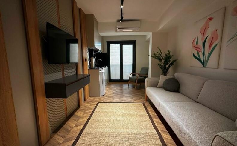 Shiboo Suite | Jolly