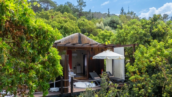 Lov Faralya +16 | Jolly